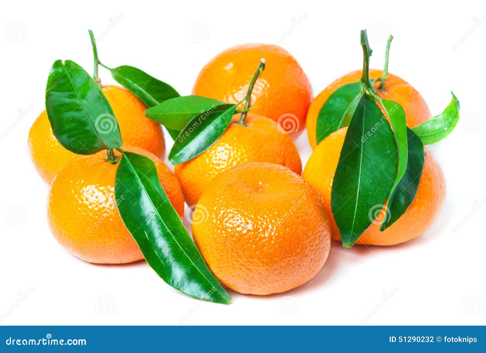 Leaf clementines stock photo. Image of front, citrus - 51290232