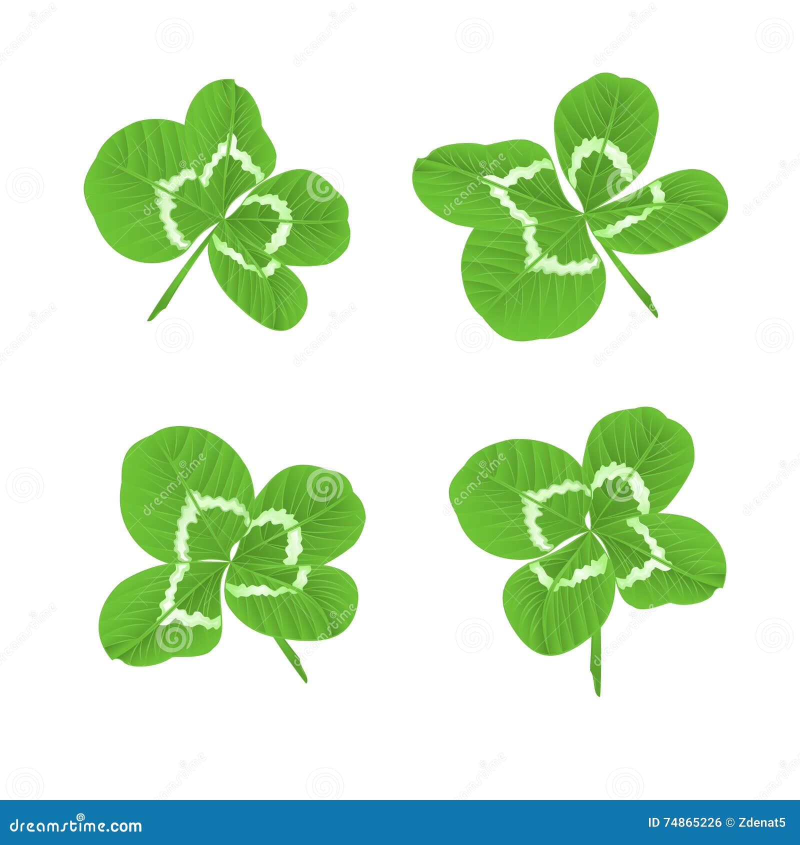 Leaf Clovers Symbol of Good Luck Vector Stock Vector - Illustration of ...