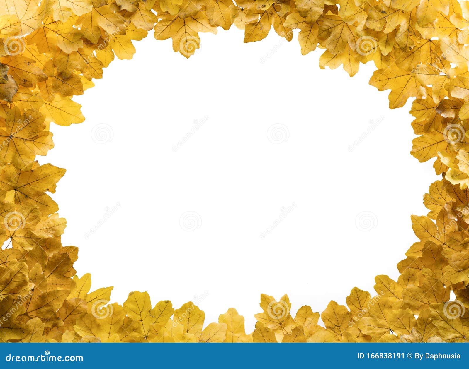 Leaf collage background stock image. Image of brown - 166838191