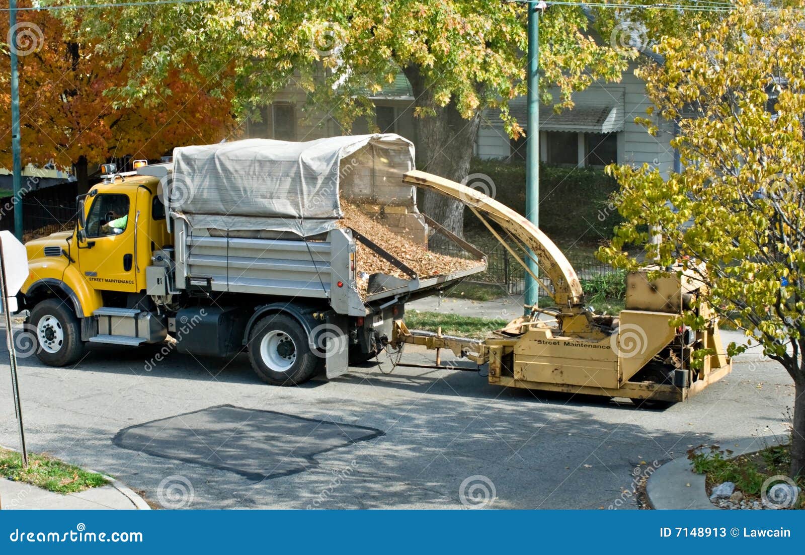 Leaf Collection stock image. Image of movement, autumn - 7148913