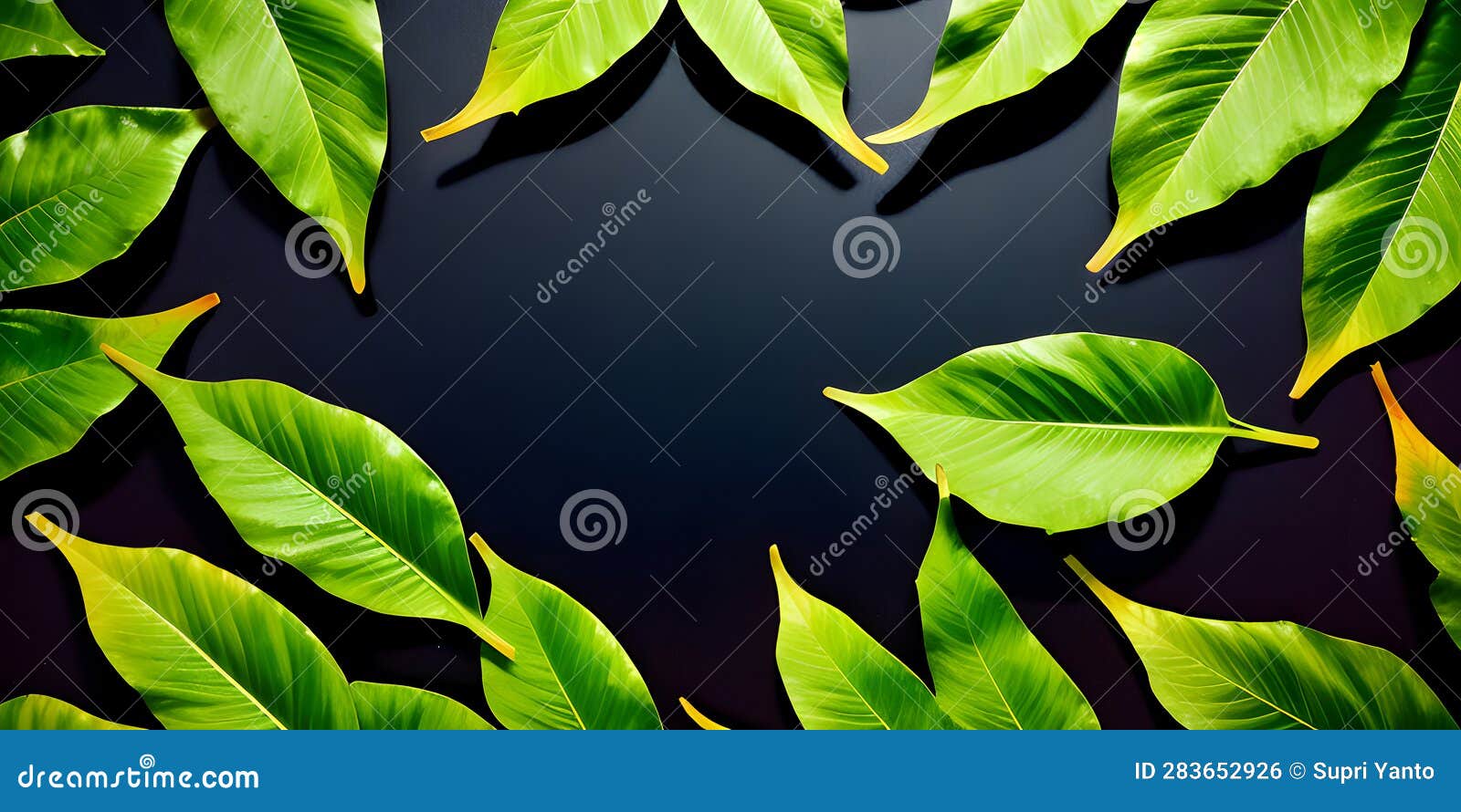 Leaf Concept Background Display Spring Summer Leaves Texture Detail ...
