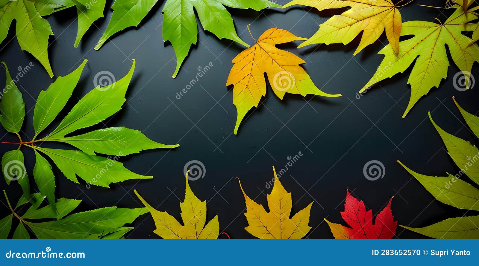 Leaf Concept Background Display Spring Summer Leaves Texture Detail ...