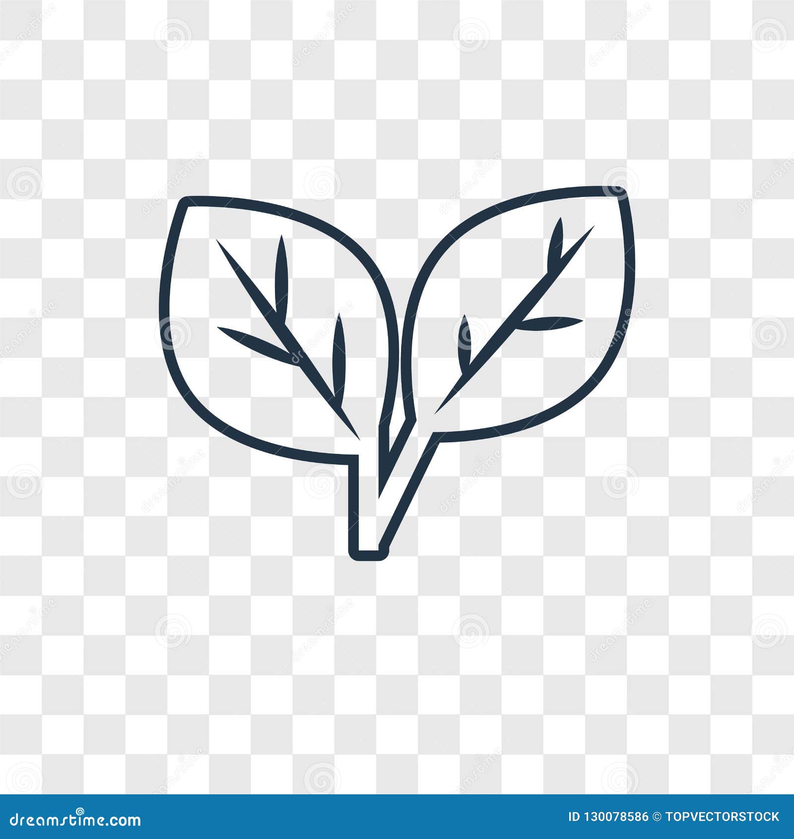 Leaf Concept Vector Linear Icon Isolated on Transparent Background ...