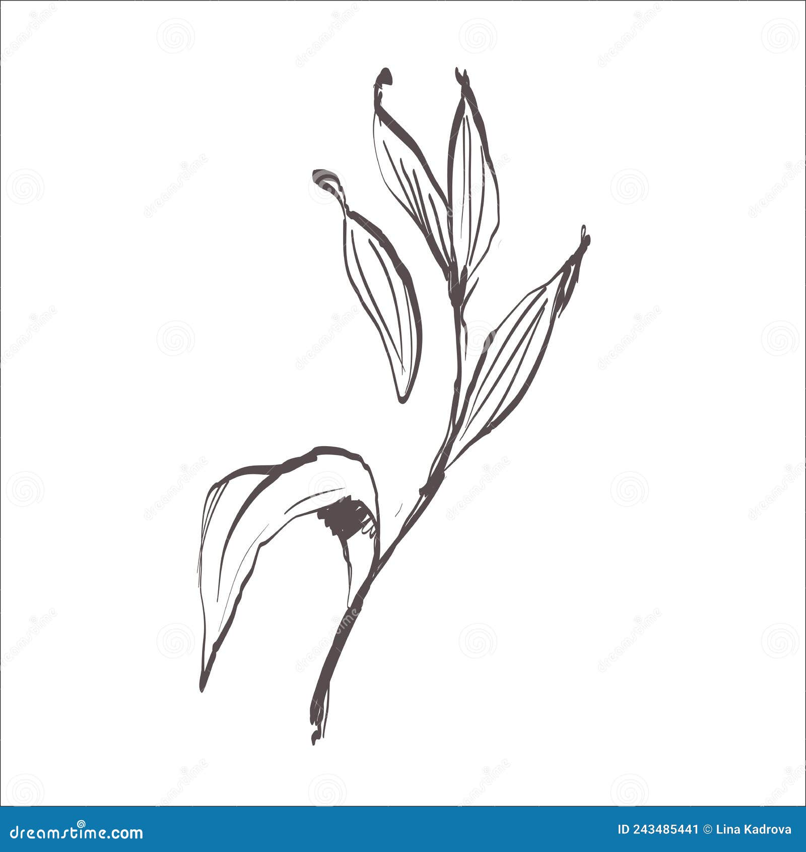 Leaf Sketch Contour Doodle on the White Background Stock Vector ...