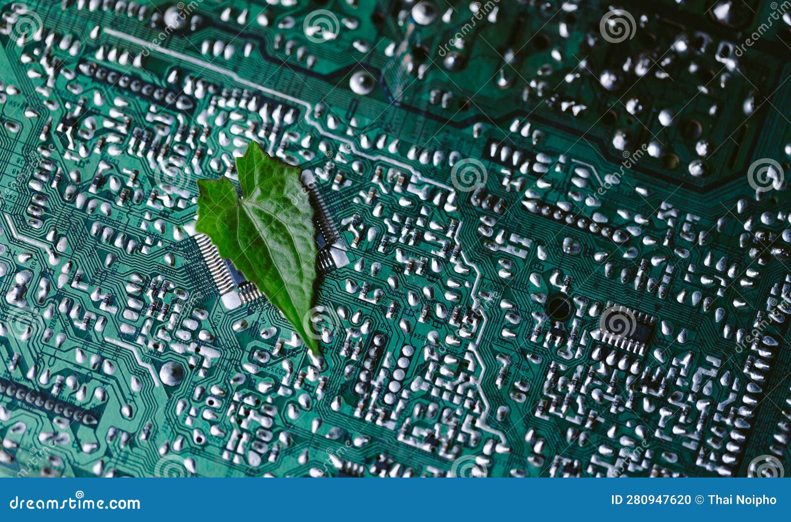 Leaf on the Converging Point of Computer Circuit Board. Green Computing ...