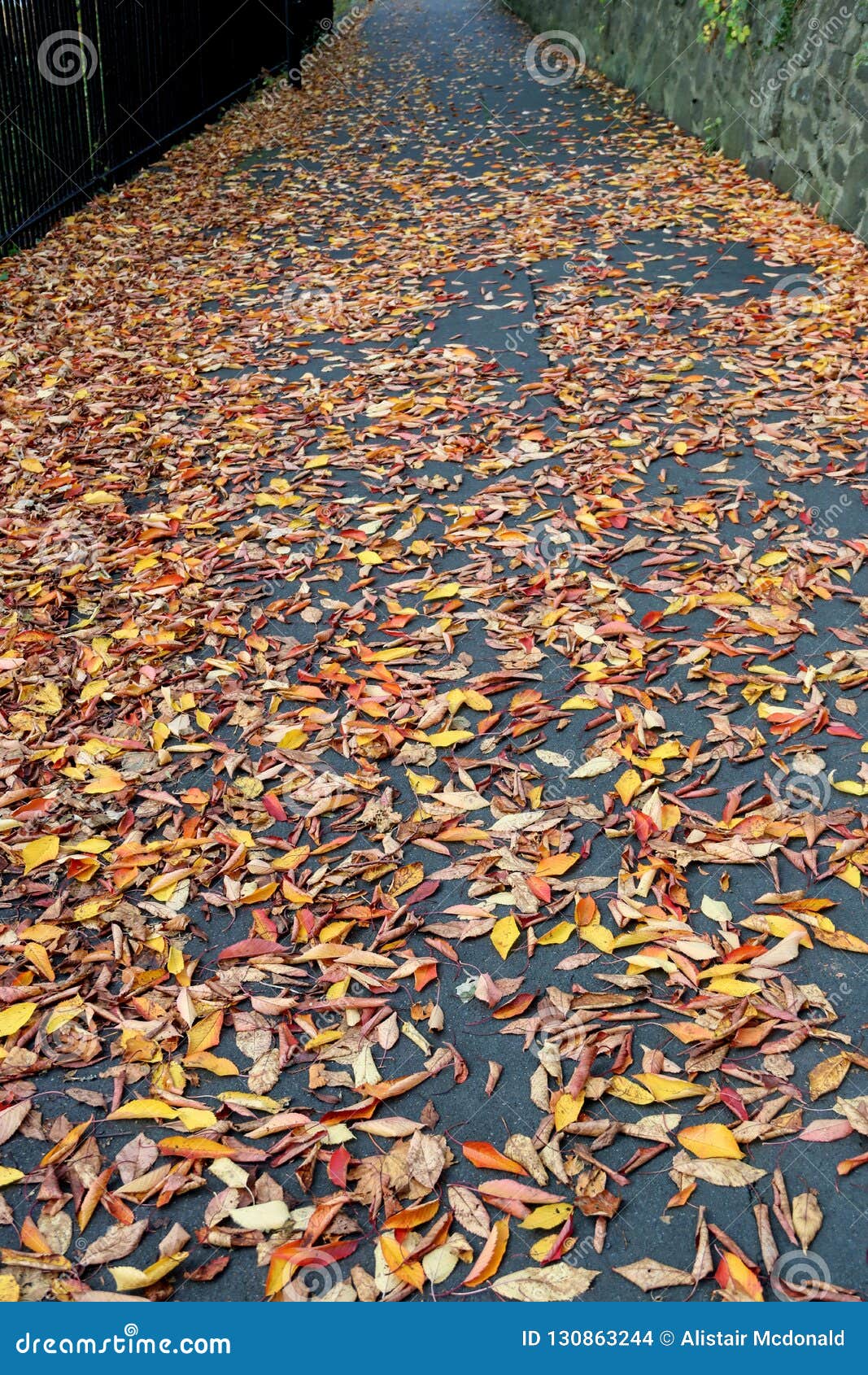 Leaf Covered Footpath in Autumn Stock Photo - Image of nature, season ...