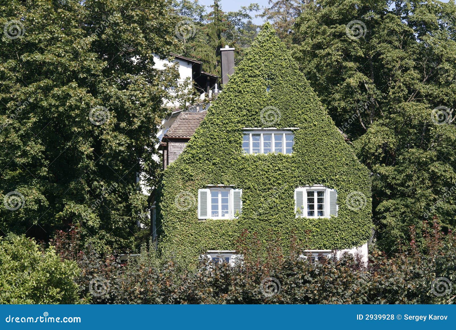 Leaf covered house stock photo. Image of cottage, exterior - 2939928