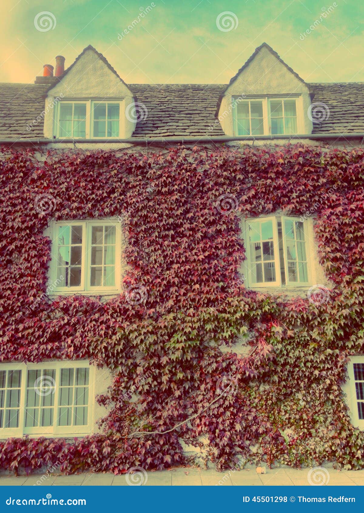 Leaf covered house stock photo. Image of home, windows - 45501298