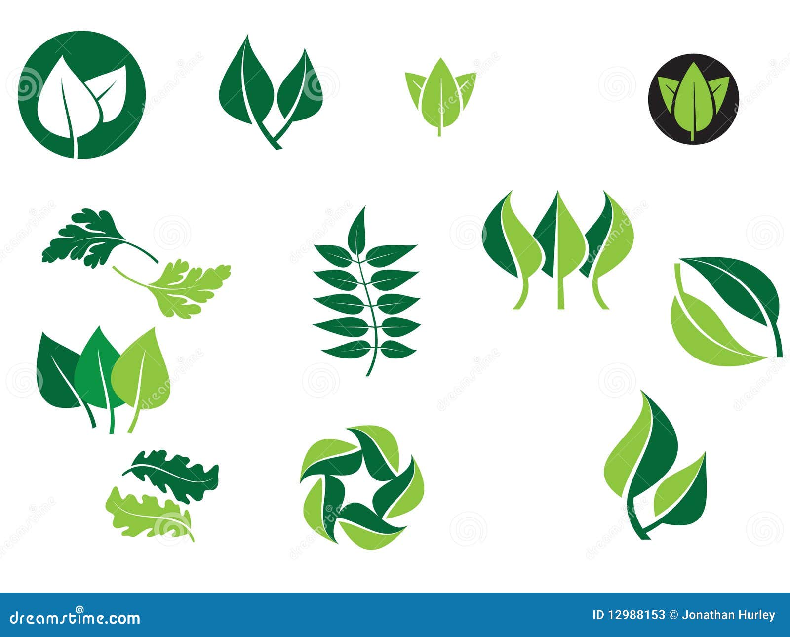 Leaf designs stock vector. Illustration of ecology, business - 12988153