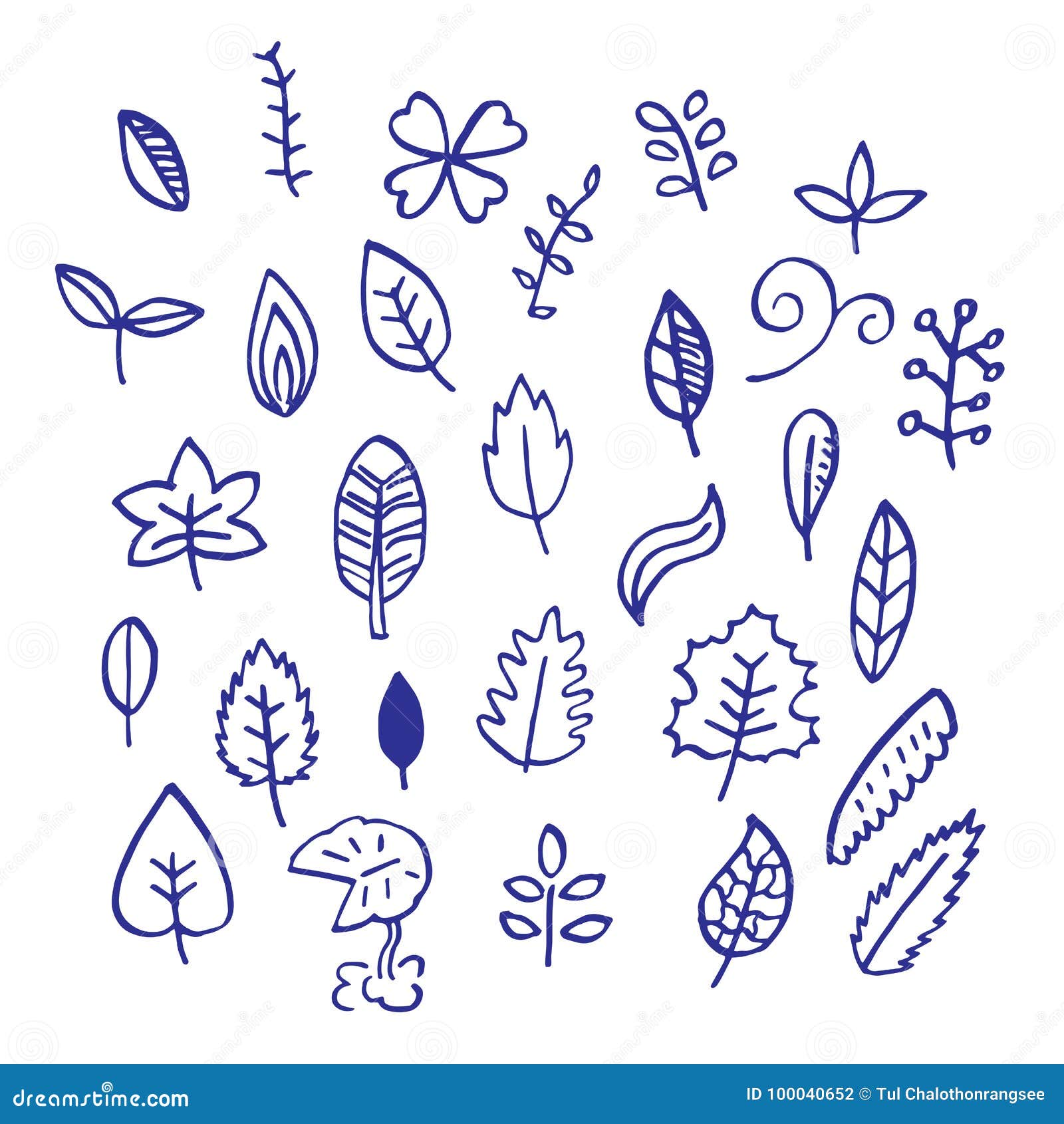Leaf doodle stock vector. Illustration of doodles, design - 100040652