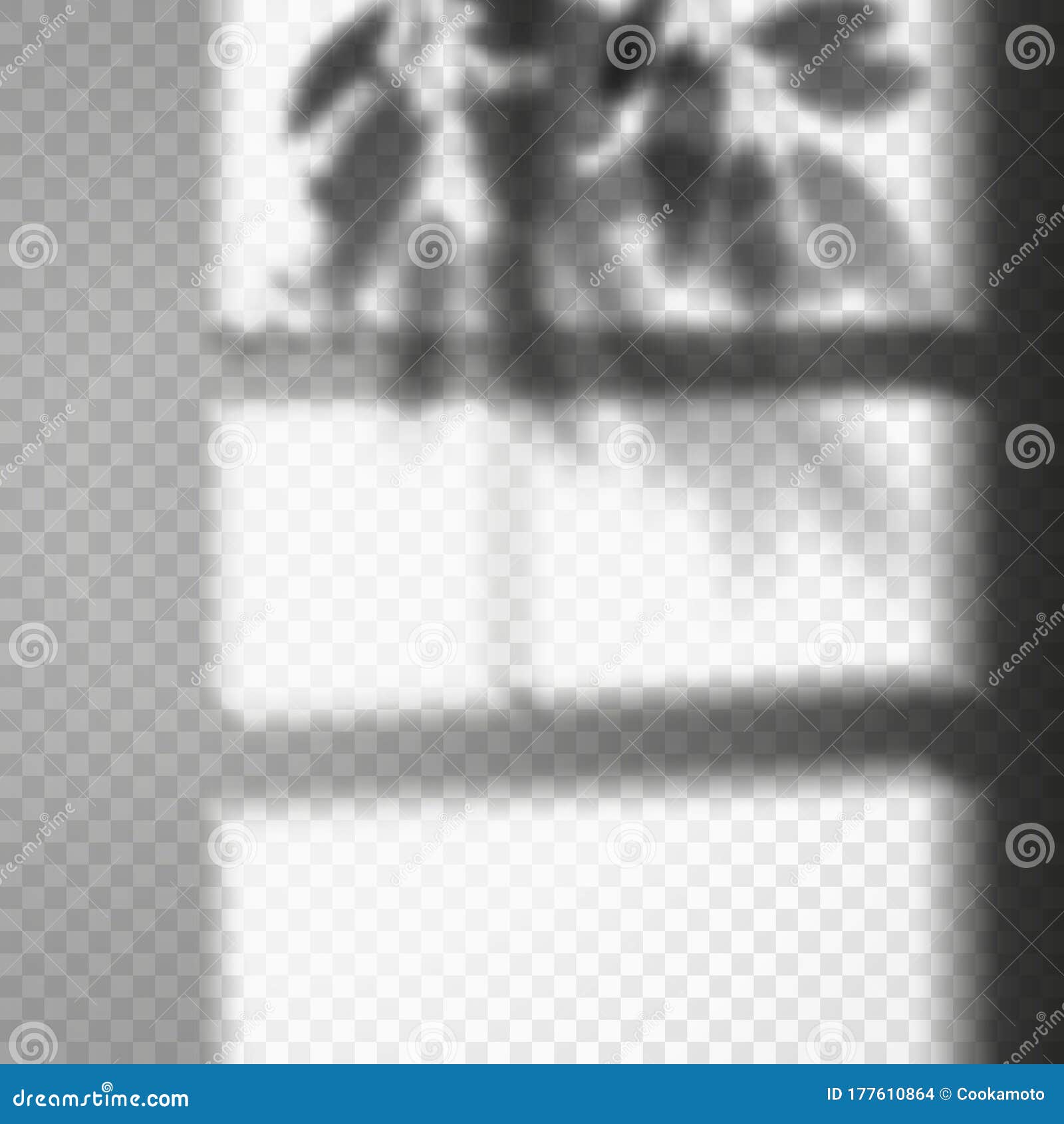 Leaf and Door Shadow on Transparent Background. Stock Photo - Image of ...