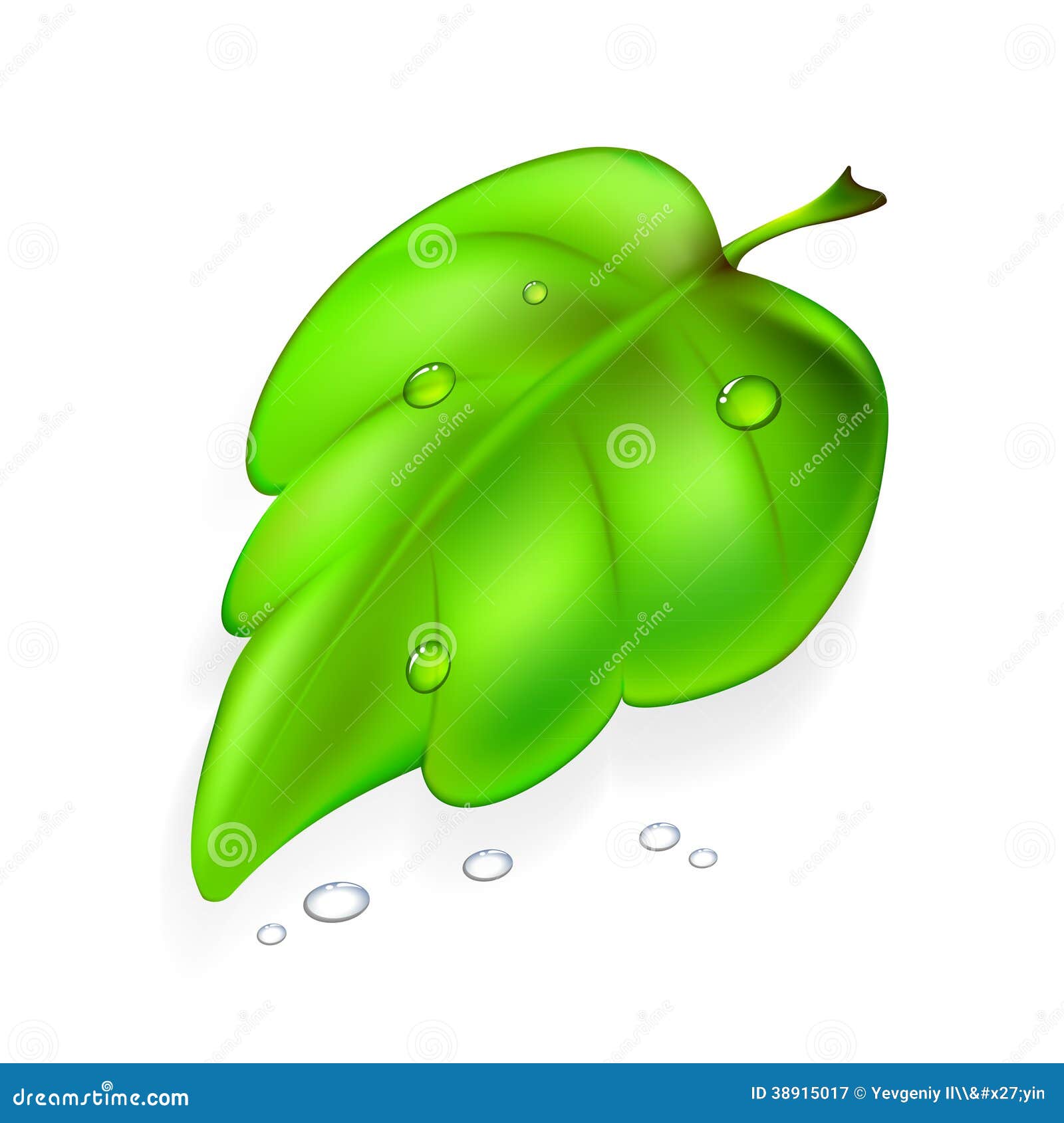 Leaf with drops stock vector. Illustration of drop, environment - 38915017