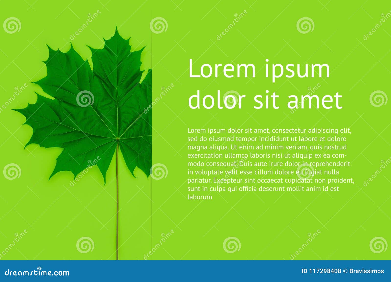 Eco Text with Green Leaf Background Energy. Friendly, Ecoology ...