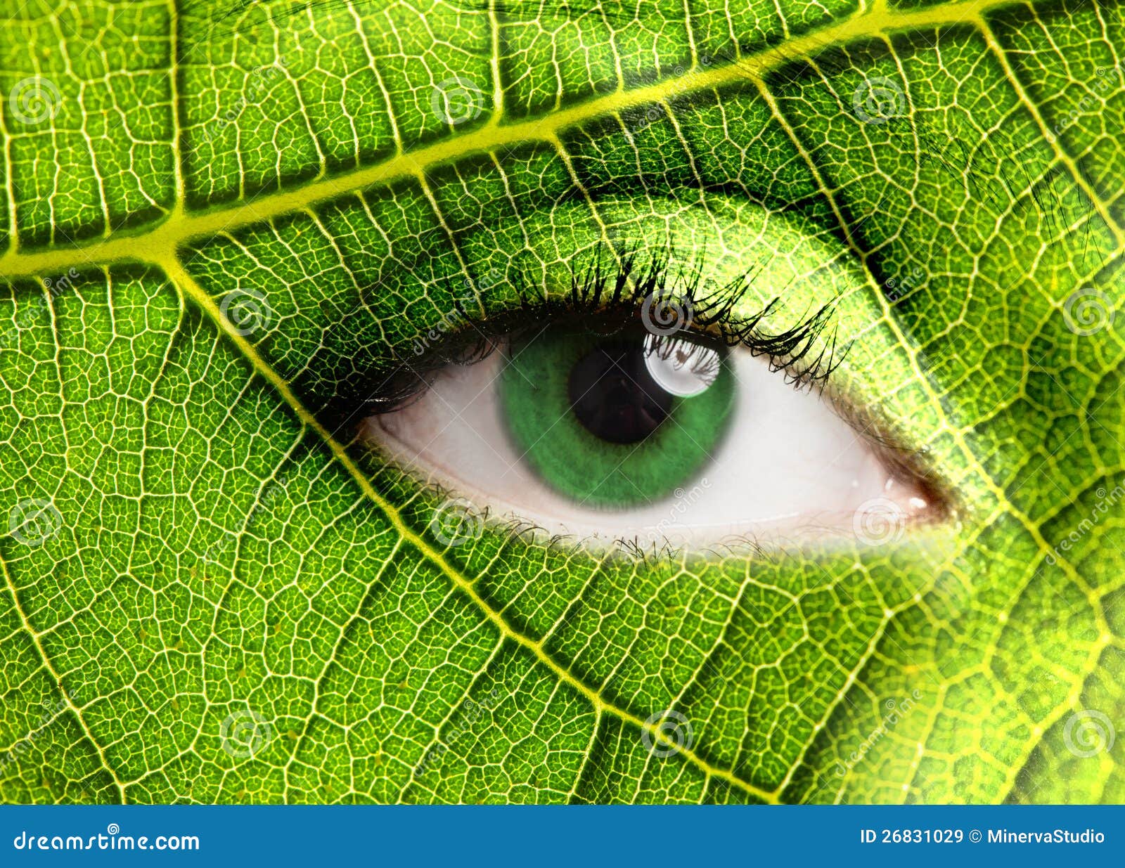Leaf eye stock image. Image of person, human, pattern - 26831029