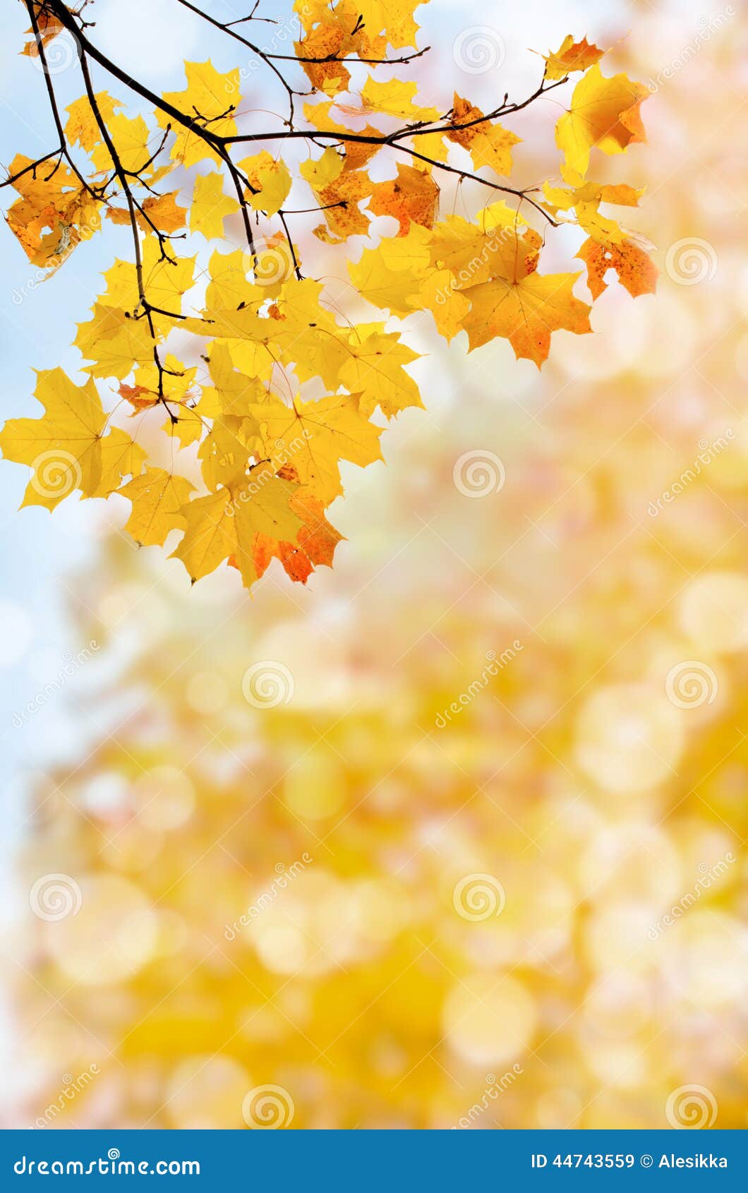 Leaf Fall Abstract Background Stock Image - Image of leaf, shape: 44743559