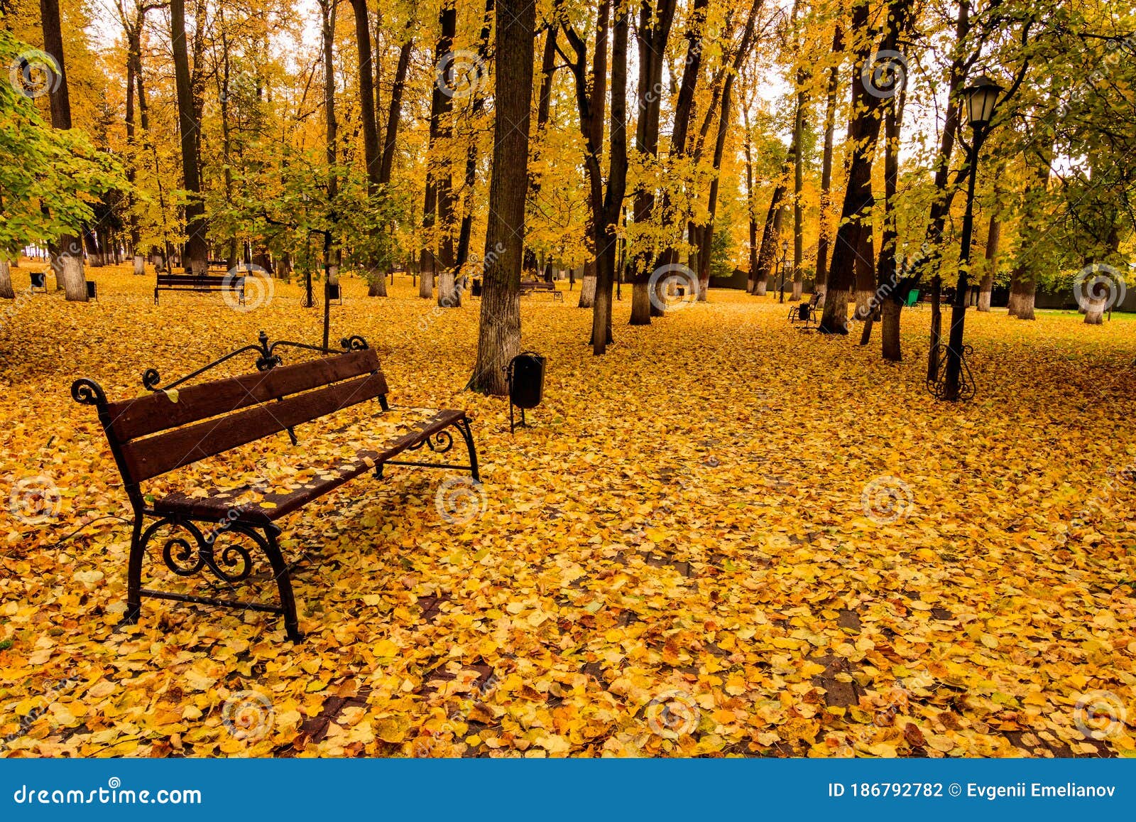 Leaf Fall in the Park in Autumn with Bench Stock Photo - Image of leaf ...