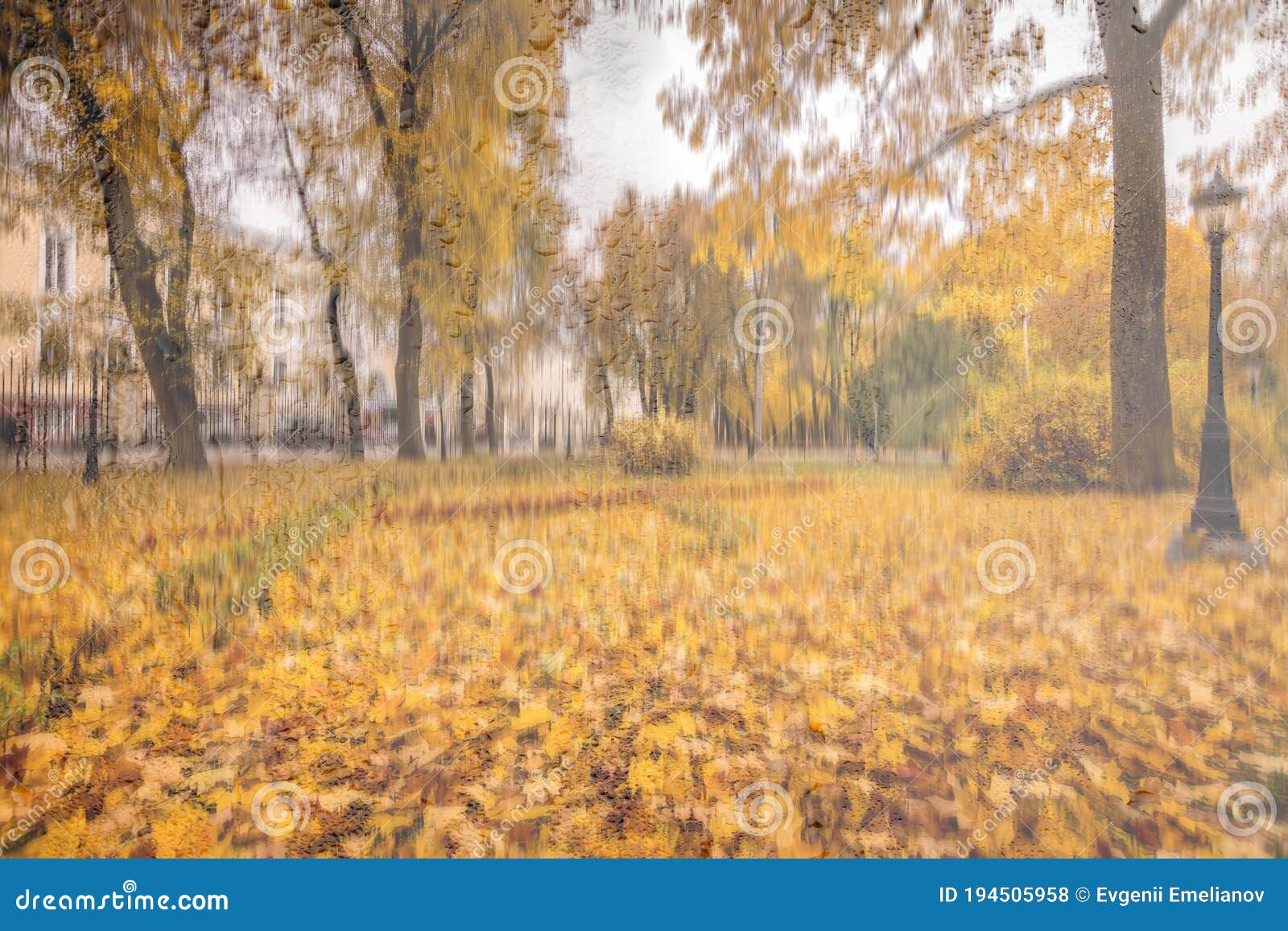 Leaf Fall in the Park in Autumn with Maples Stock Photo - Image of forest, pavement: 194505958