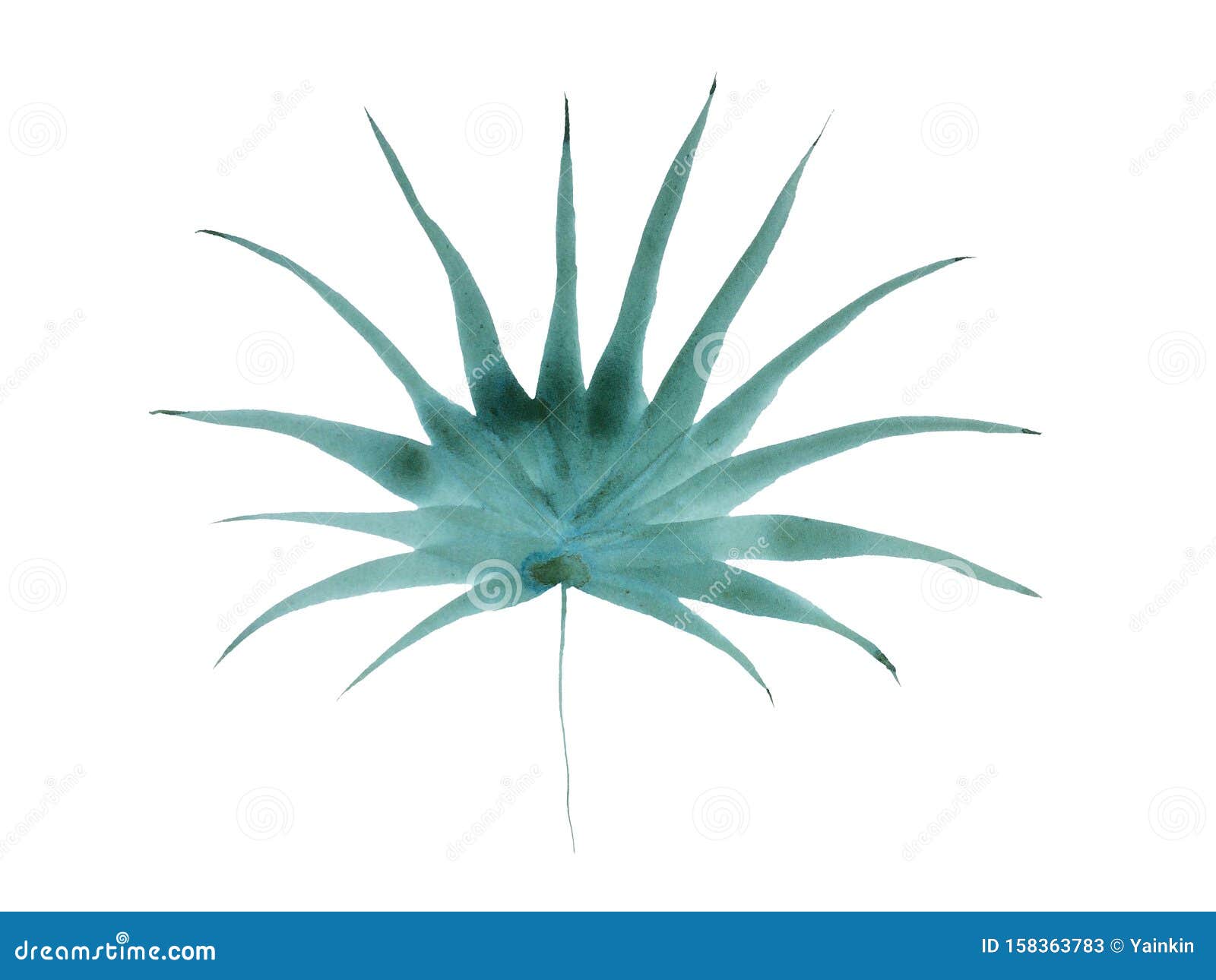 Leaf of a feather palm stock image. Image of stalk, phalanx - 158363783