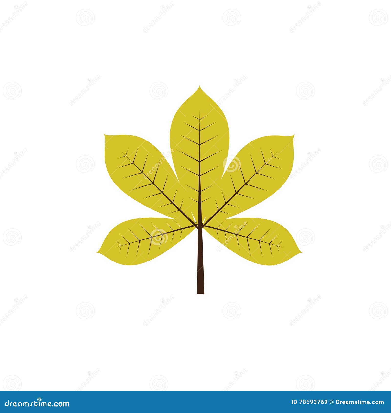 Leaf stock vector. Illustration of flat, vector, leafflatdesign - 78593769
