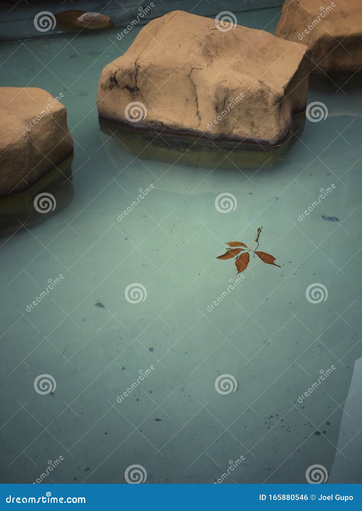 Rock on water stock photo. Image of outside, rock, leaf - 165880546