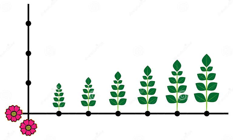 Leaf Flourish Growth Bar Graph Diagram with Pattern Lines. Stock Vector ...