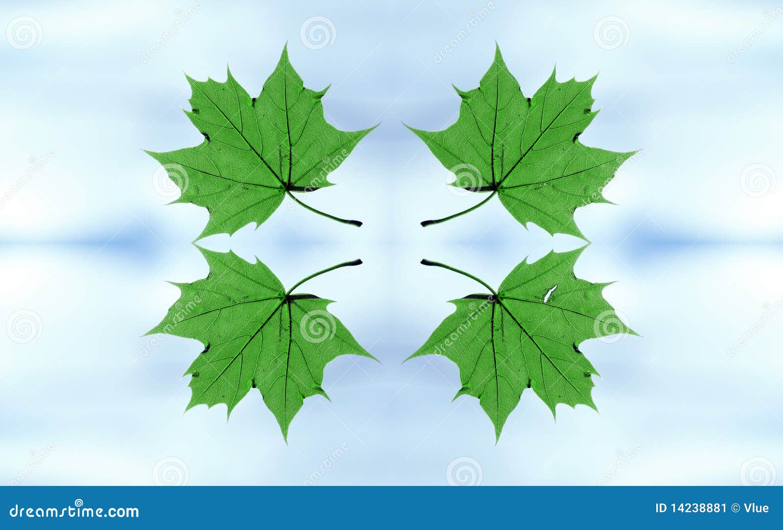 Leaf flying in air stock image. Image of cloudy, colored - 14238881