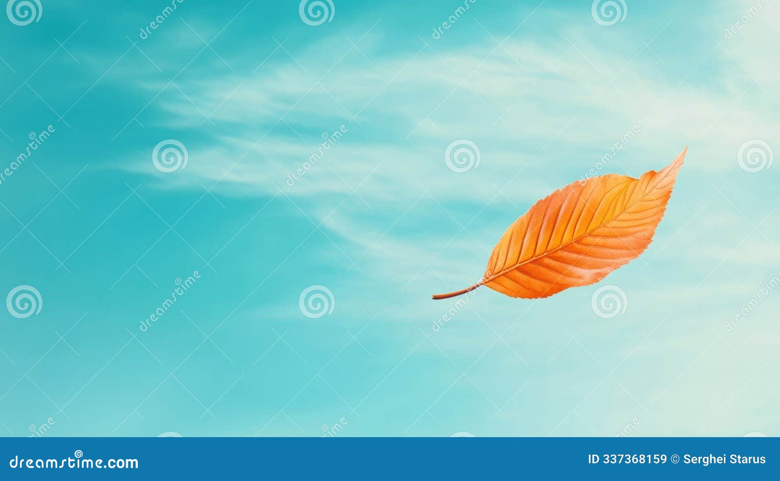A Leaf is Flying in the Air with a Blue Sky Background, AI Stock Image ...