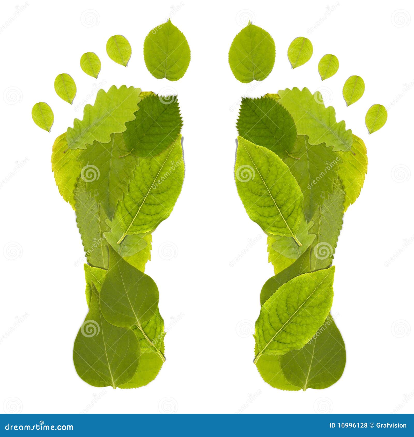 Leaf Footprint stock photo. Image of carbon, leaf, footprint - 16996128