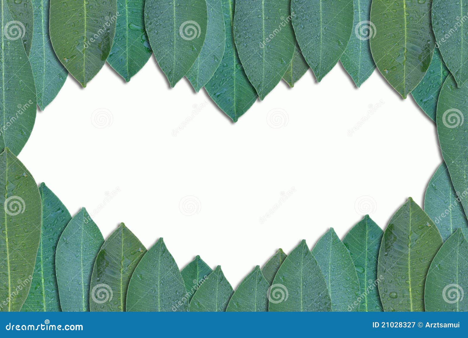 Leaf frame stock illustration. Illustration of decor - 21028327