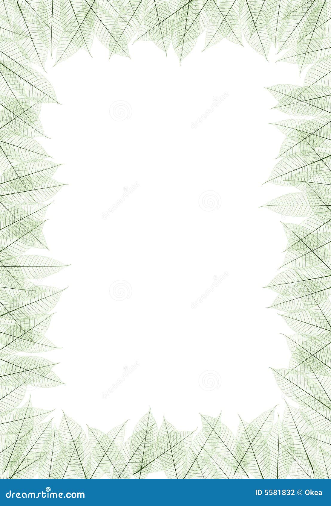 Leaf frame stock illustration. Illustration of background - 5581832