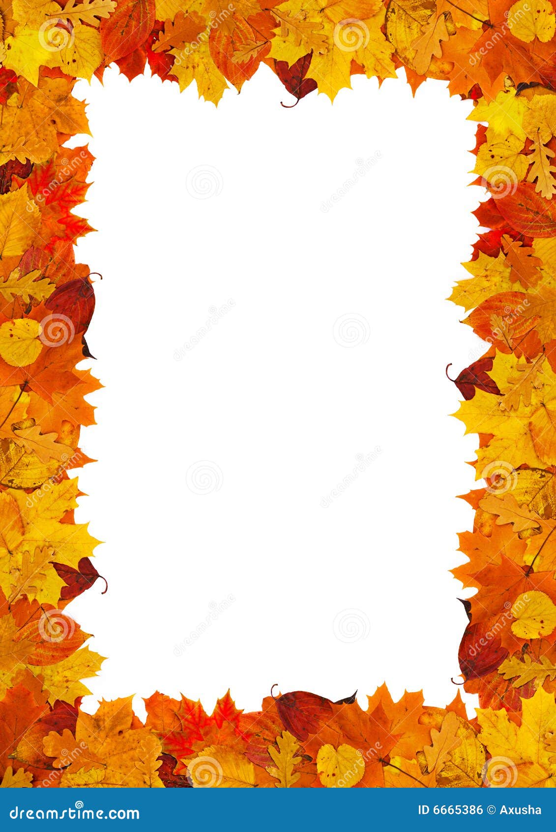 Leaf frame stock photo. Image of backdrop, maple, bright - 6665386