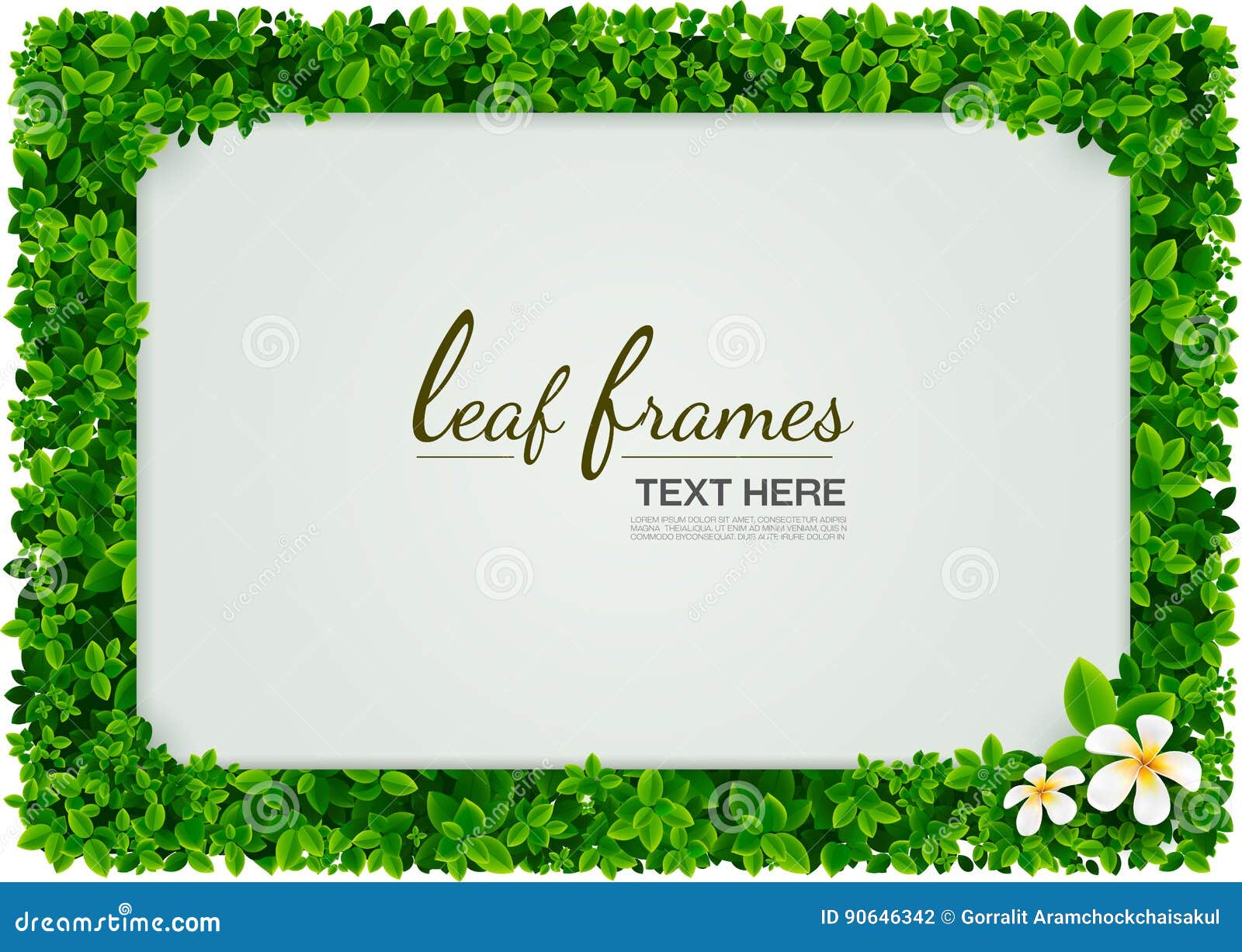 Leaf Frames Border Picture Vector Stock Vector - Illustration of green ...