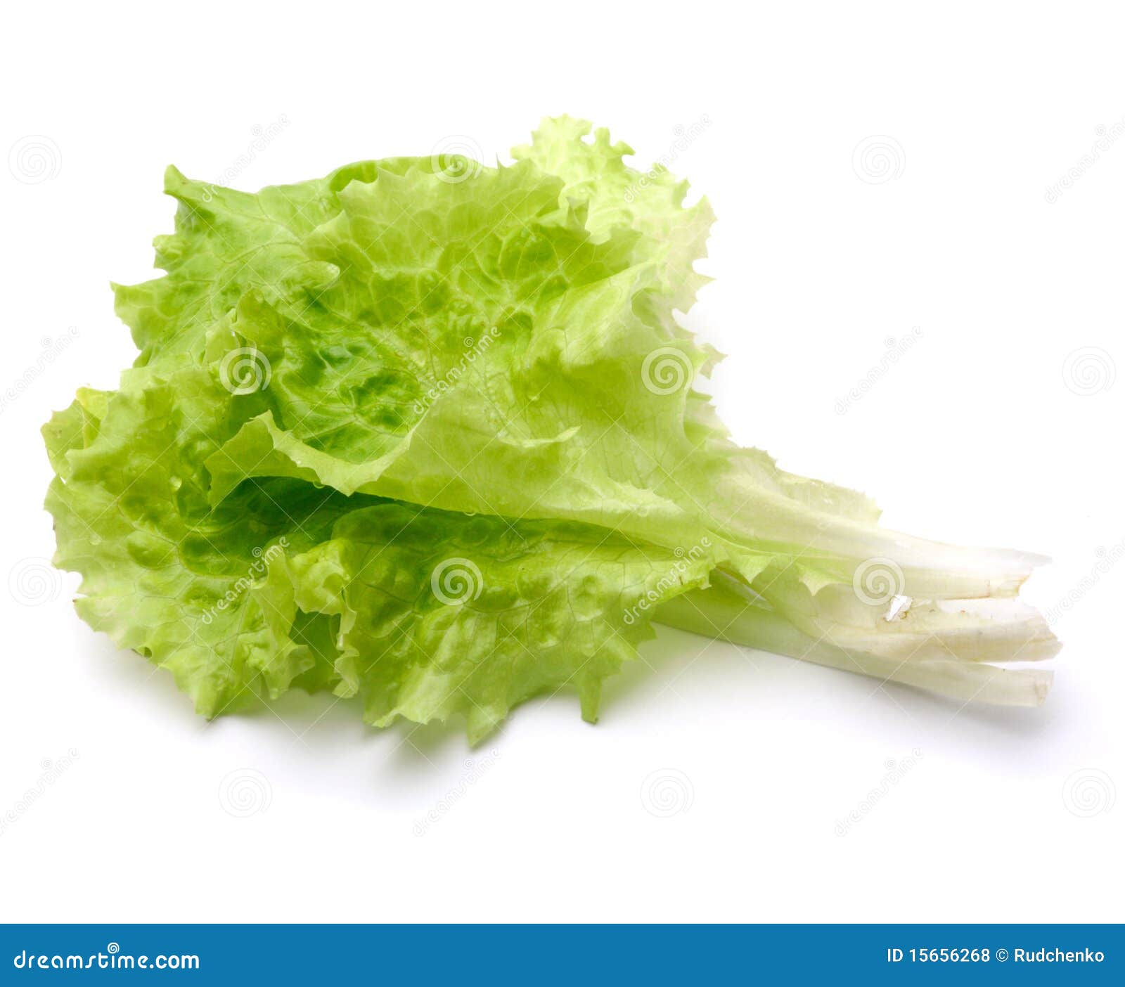 Leaf Fresh Lettuce on White Stock Photo - Image of freshness, vitamin ...