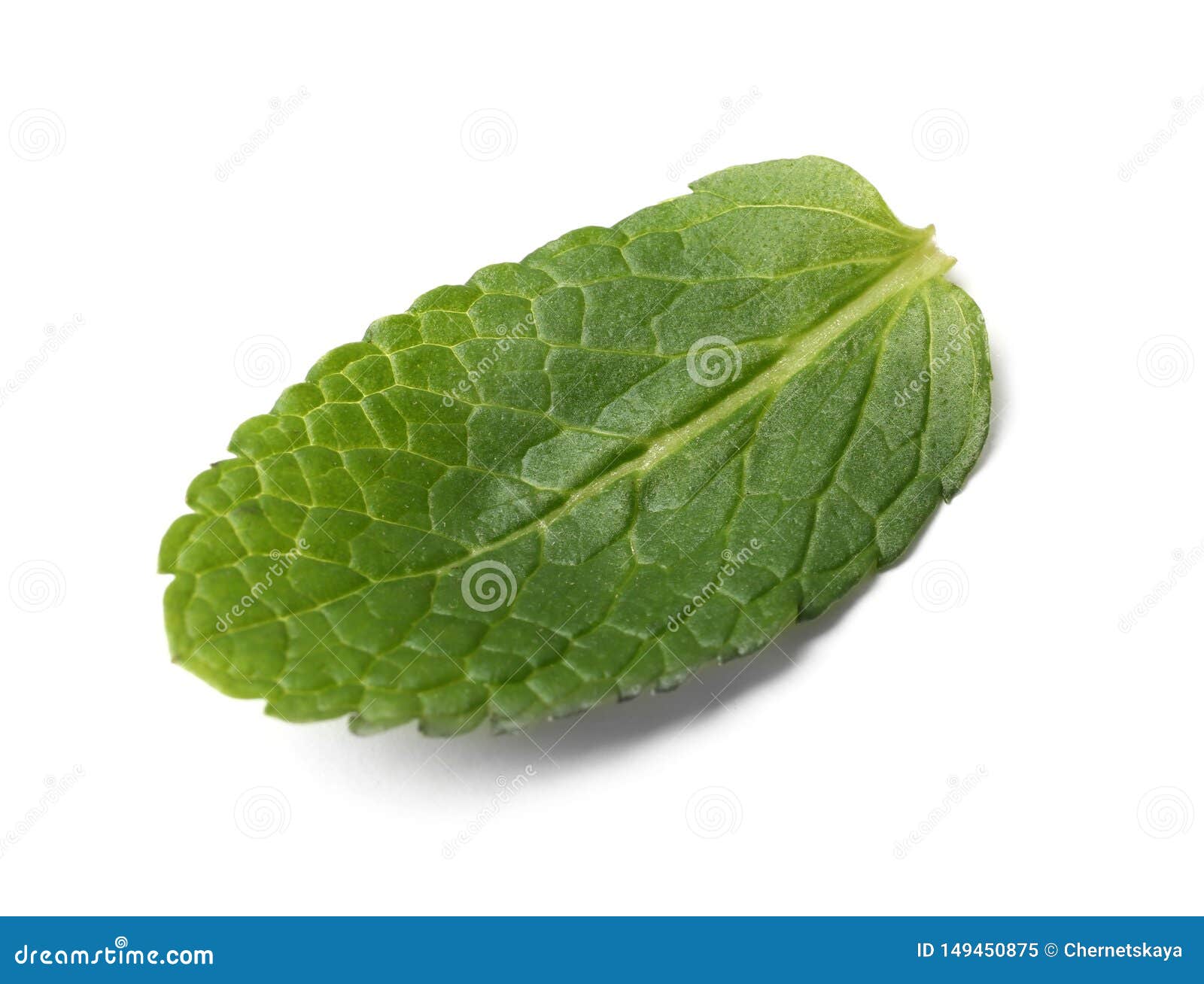 Leaf of Fresh Mint Isolated Stock Image - Image of ingredient, mint ...