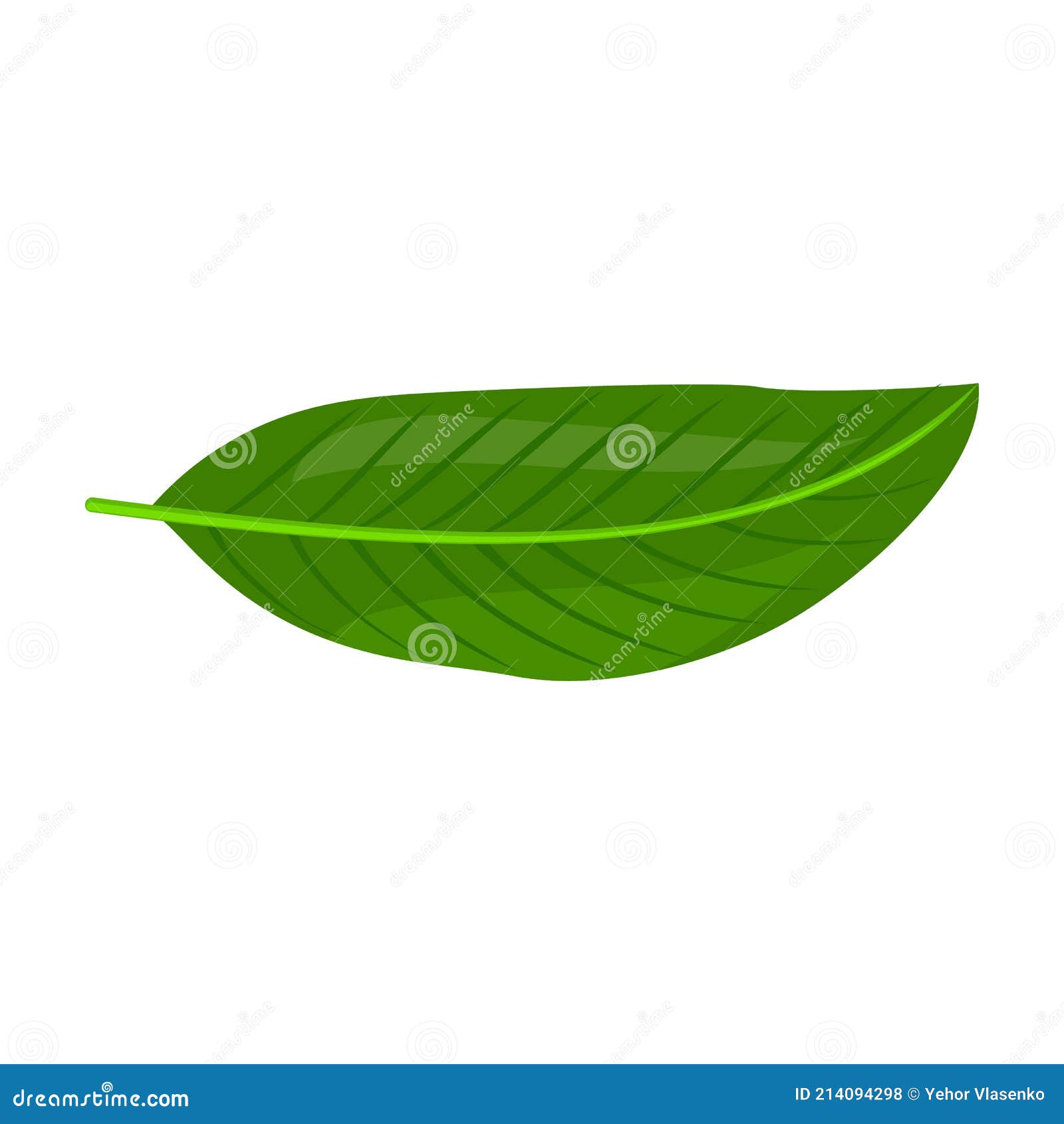 Leaf Ginger Vector Icon.Cartoon Vector Icon Isolated on White ...