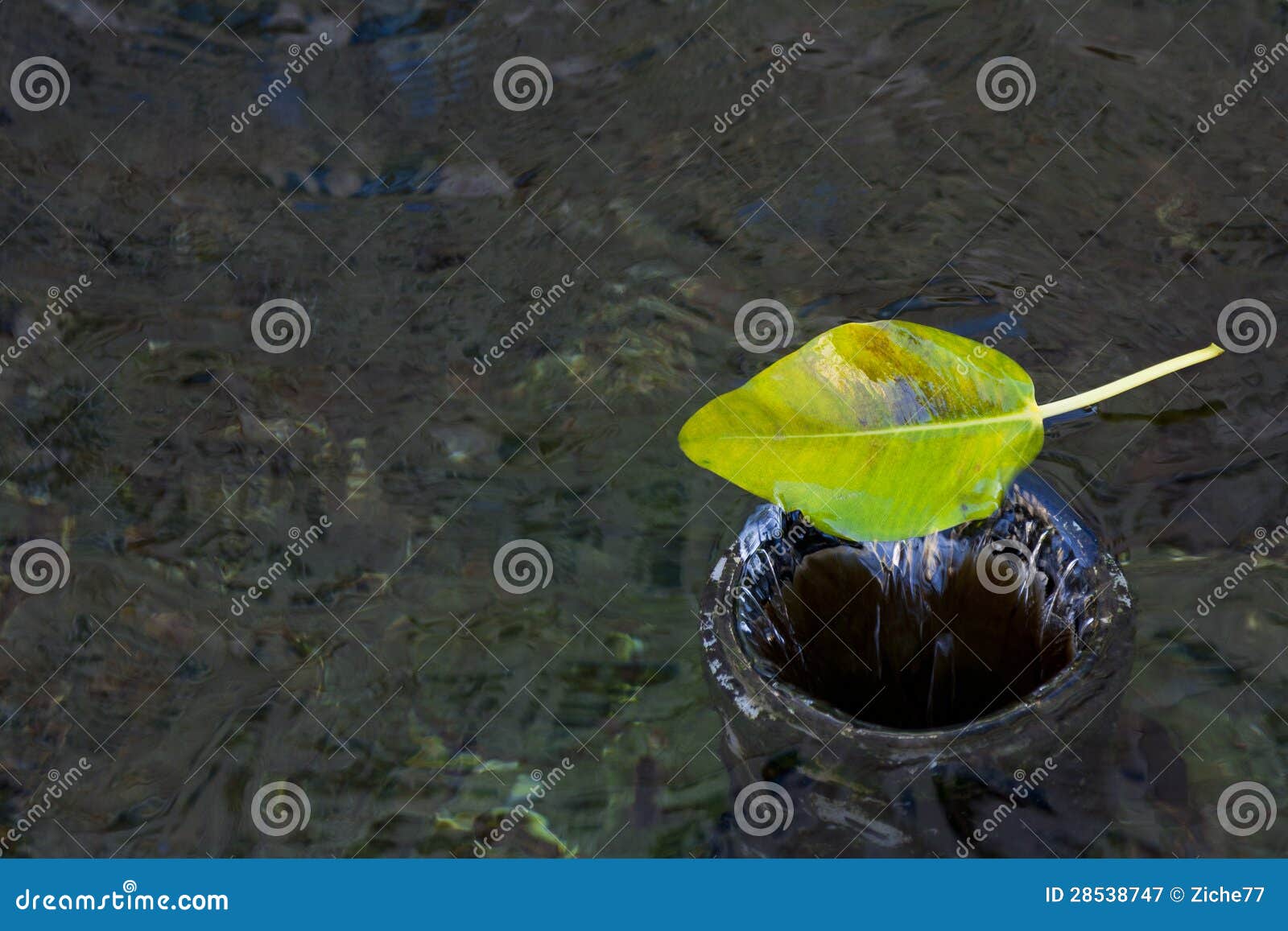 A Leaf is Going Down in a Water Vortex Stock Image - Image of design ...