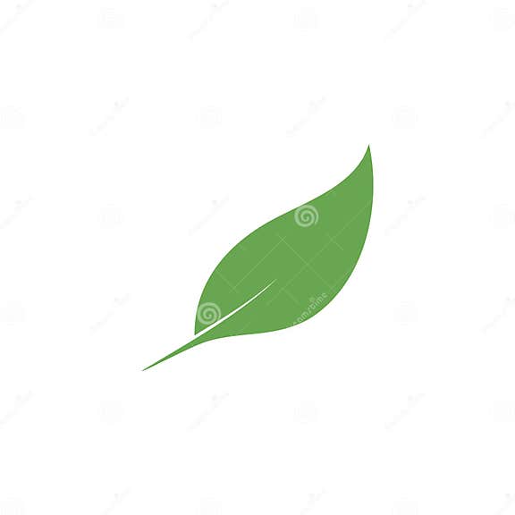 Leaf Graphic Design Template Vector Isolated Illustration Stock Vector ...