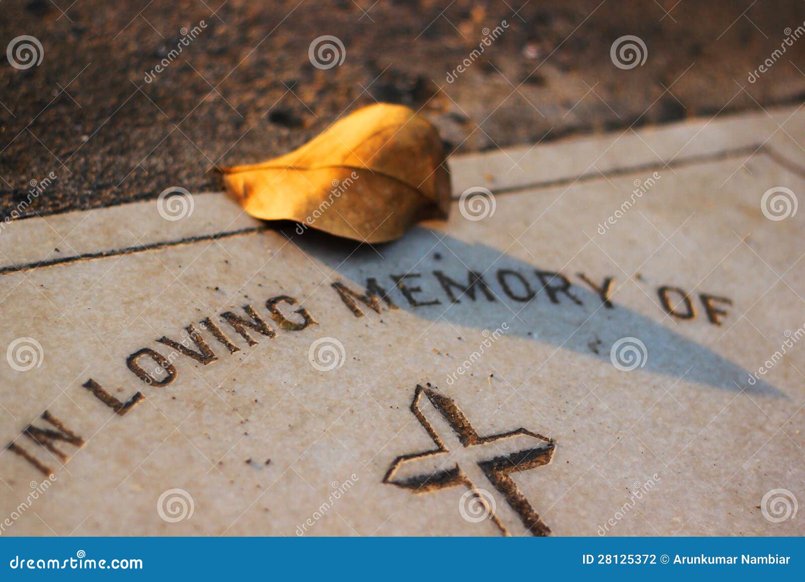 Leaf on a Grave stock photo. Image of graveyard, dried - 28125372