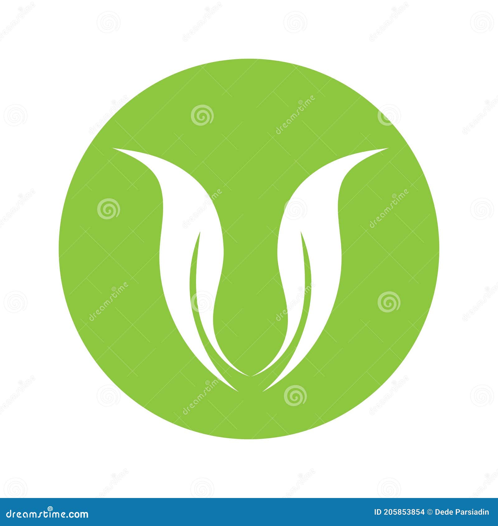 Leaf stock vector. Illustration of health, fresh, isolated - 205853854