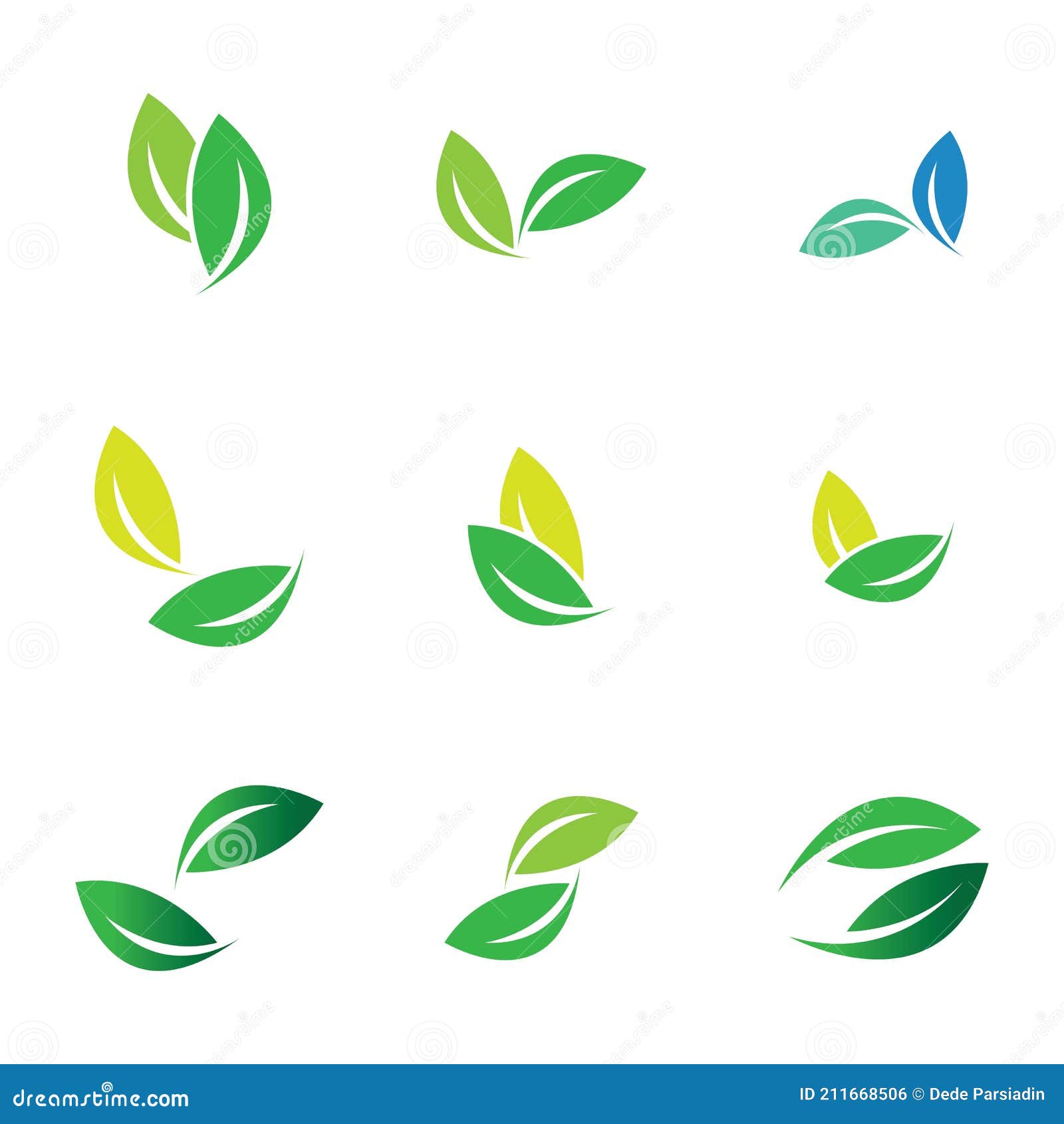 Leaf stock vector. Illustration of nature, beauty, organic - 211668506