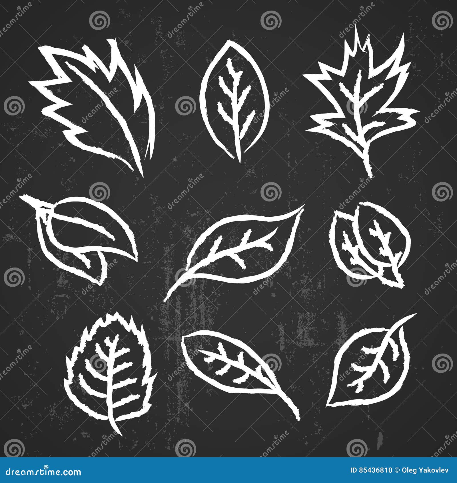 Leaf hand drawn stock vector. Illustration of black, flower - 85436810