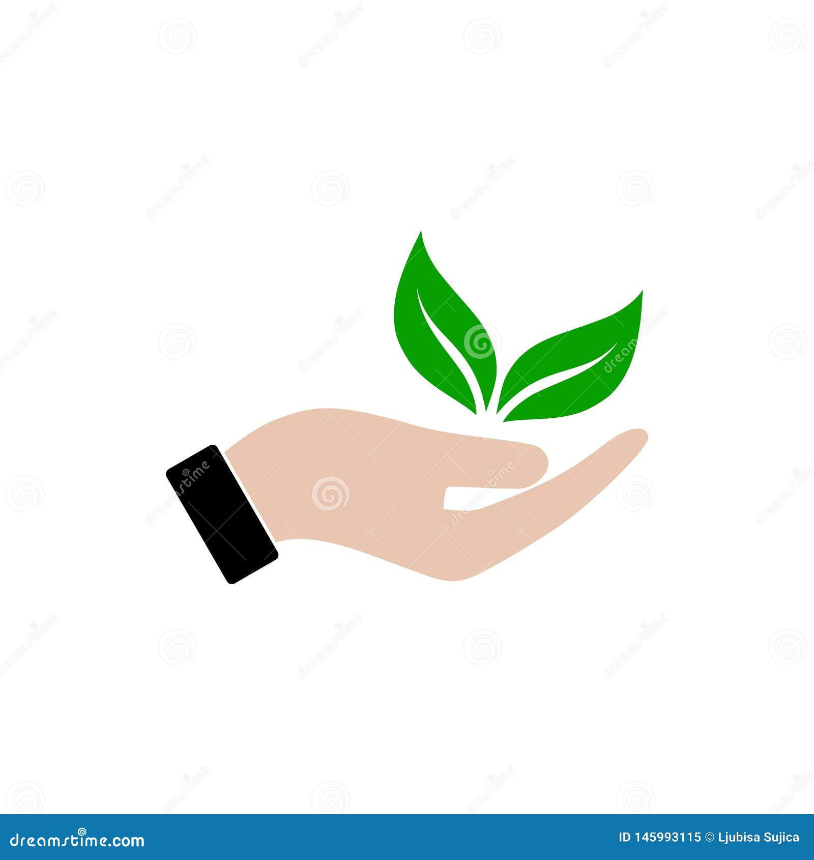 Leaf on the Hand Icon on the White Background Stock Vector ...