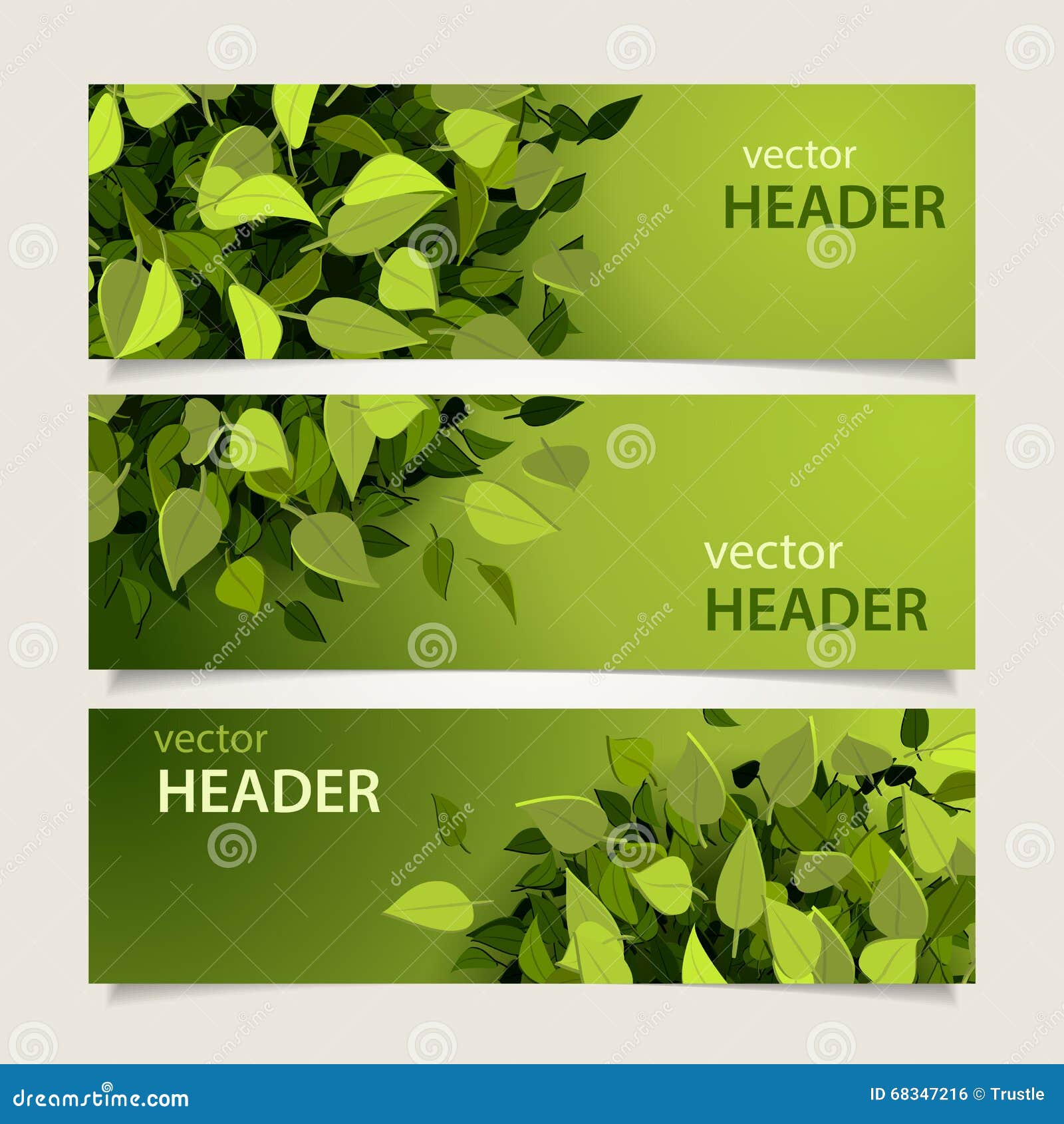 Leaf headers set stock vector. Illustration of brochure - 68347216