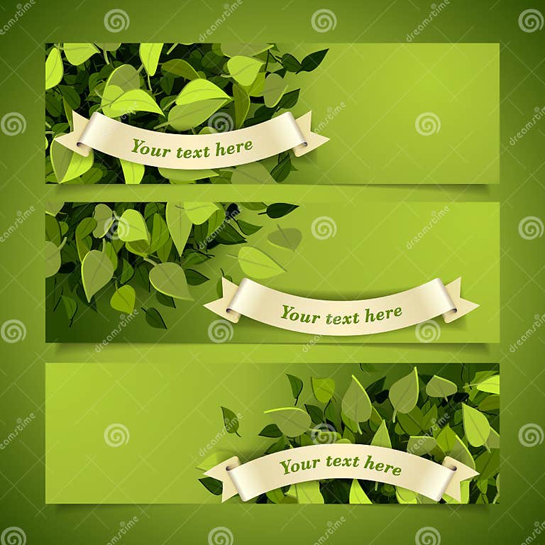 Leaf headers set stock vector. Illustration of banner - 68347218