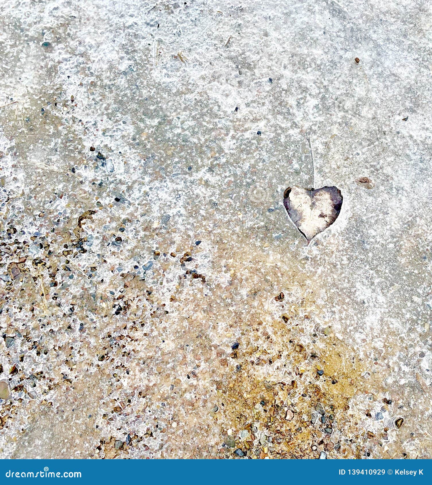 Leaf heart in the Ground stock image. Image of view - 139410929