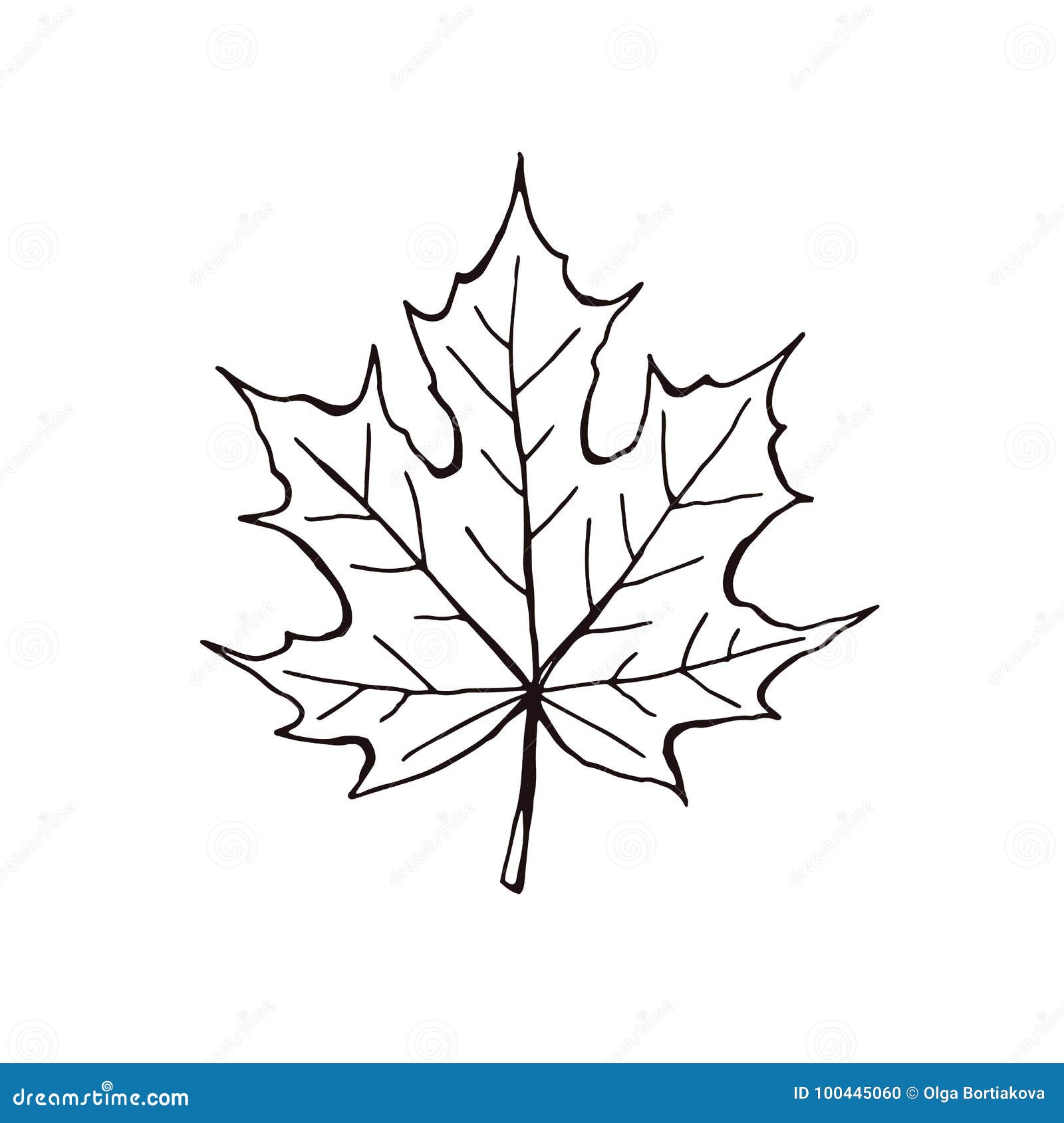Maple Leaf Outline Stock Illustrations – 14,461 Maple Leaf Outline ...