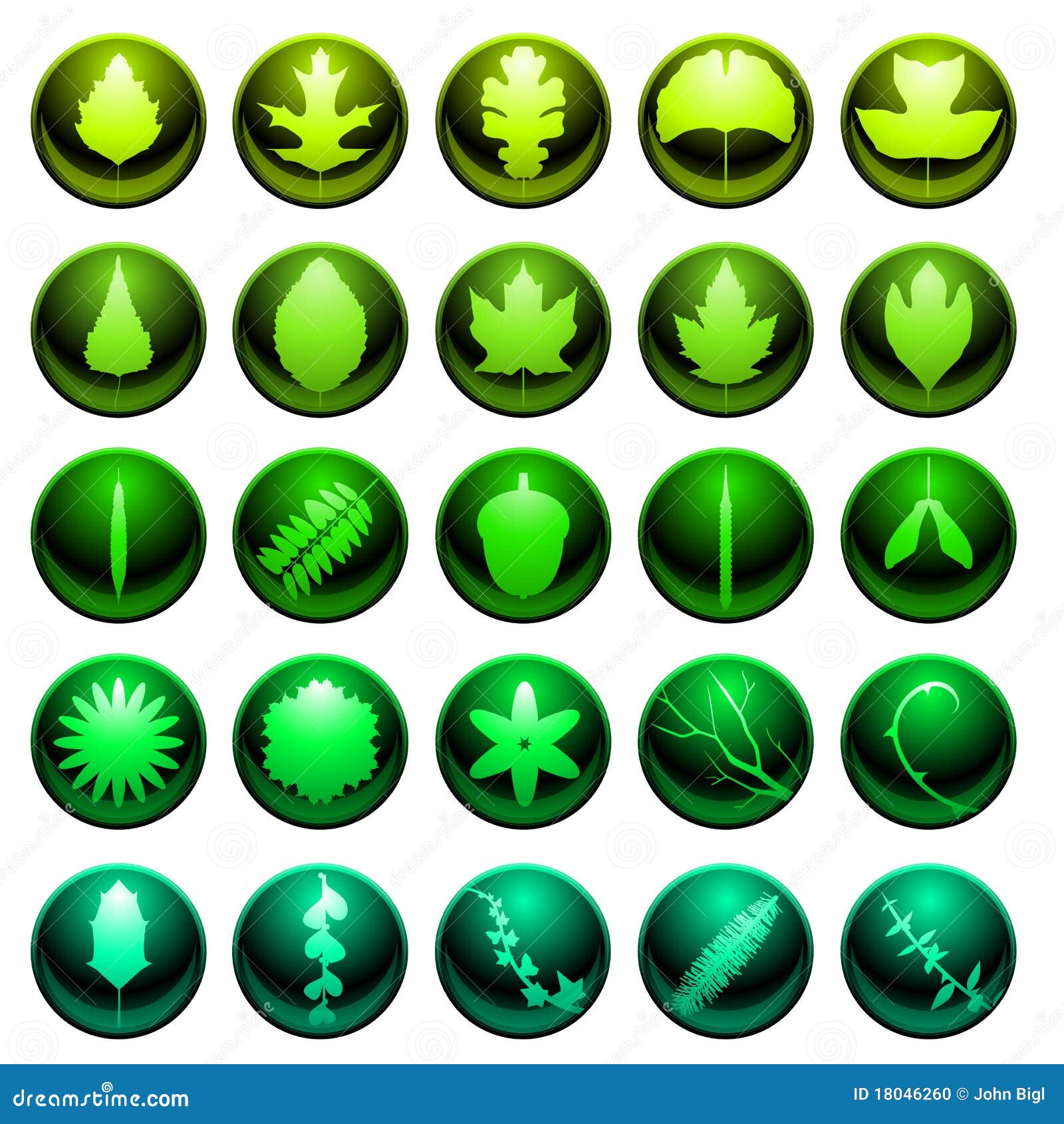 Leaf icon set stock vector. Illustration of leaf, tree - 18046260