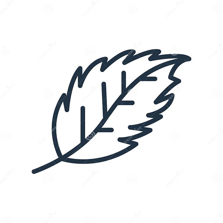 Leaf Icon Vector Isolated on White Background, Leaf Sign Stock Vector ...