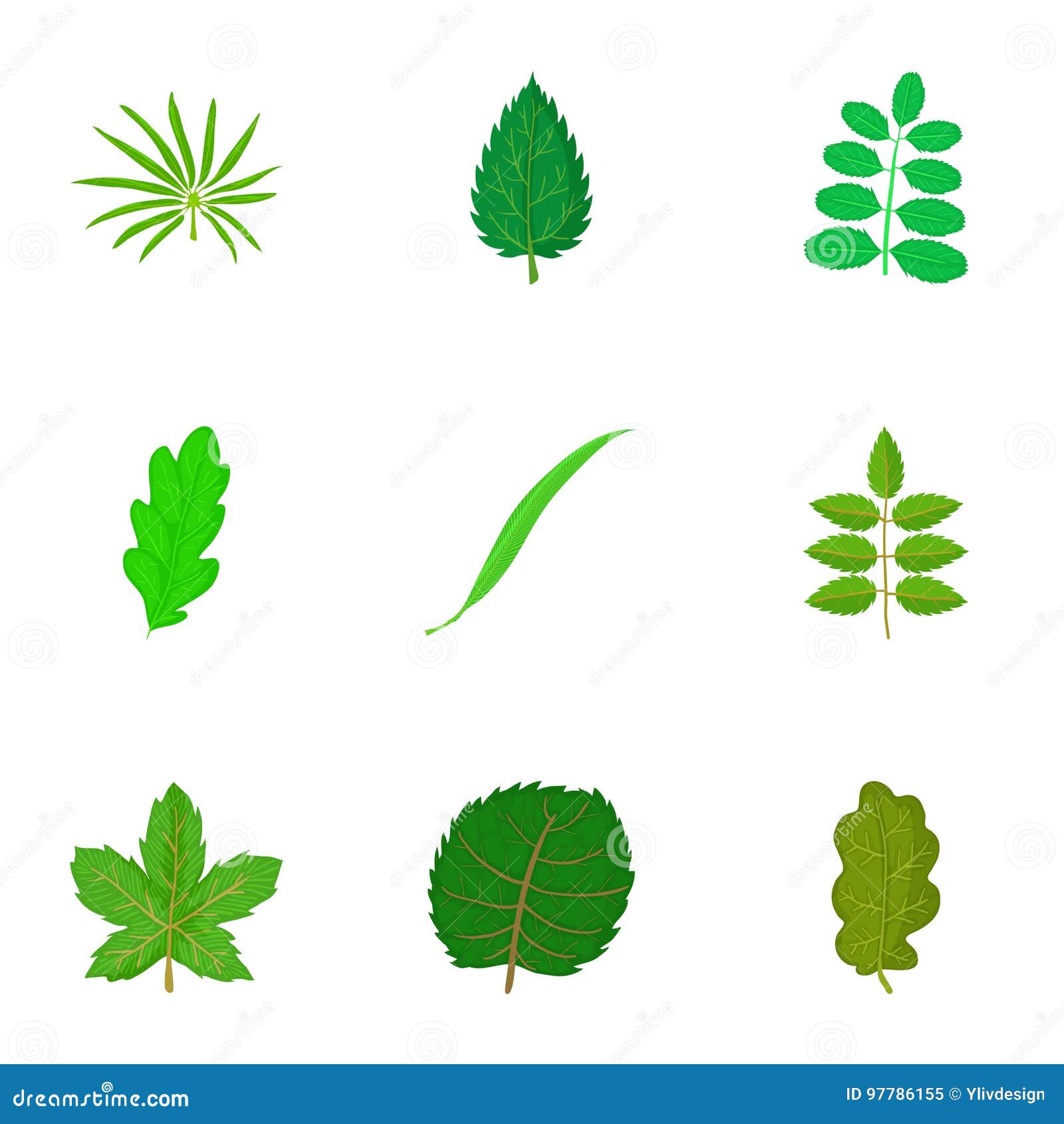 Leaf Icons Set, Cartoon Style Stock Vector - Illustration of design ...