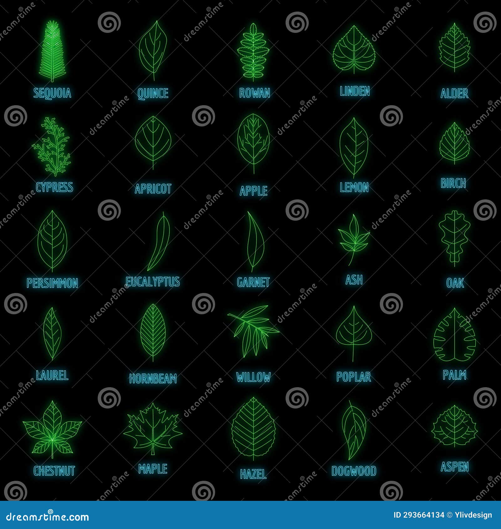 Leaf icons set vector neon stock vector. Illustration of apple - 293664134